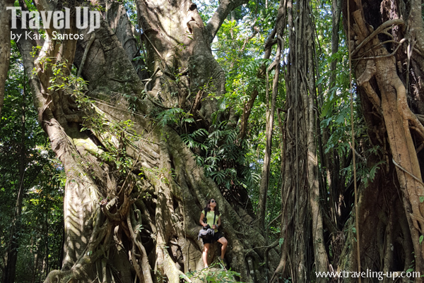 5 Things To Do in Cagayan de Oro – Travel Up